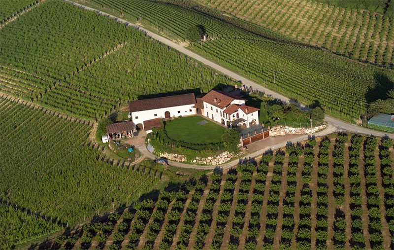 Brandini - xtrawine DE