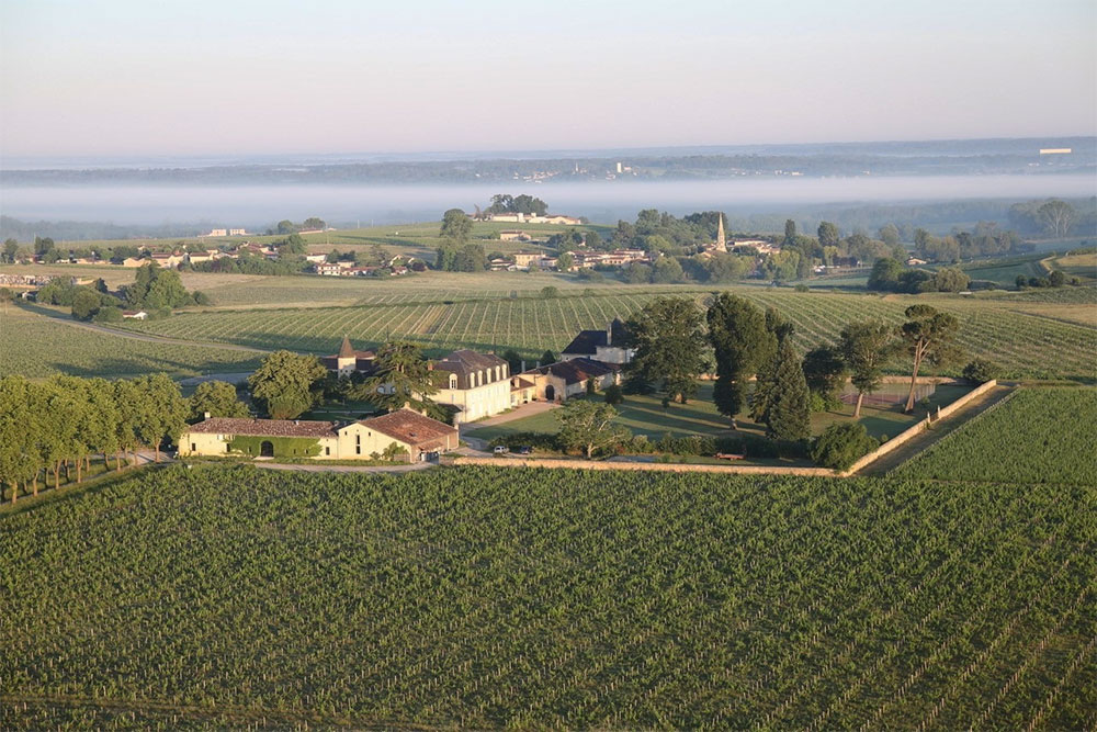 Chateau guiraud sauternes 1er grand cru classè 2008 - xtrawine FR