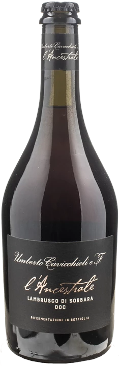 Cavicchioli lambrusco store