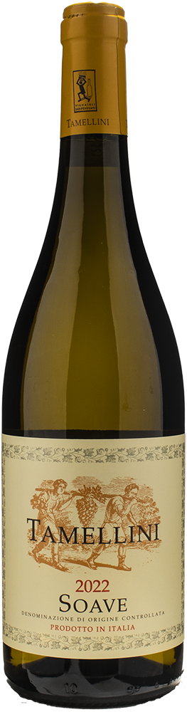 Condensed Milk Evaporated Milk The Difference Between, 48% OFF